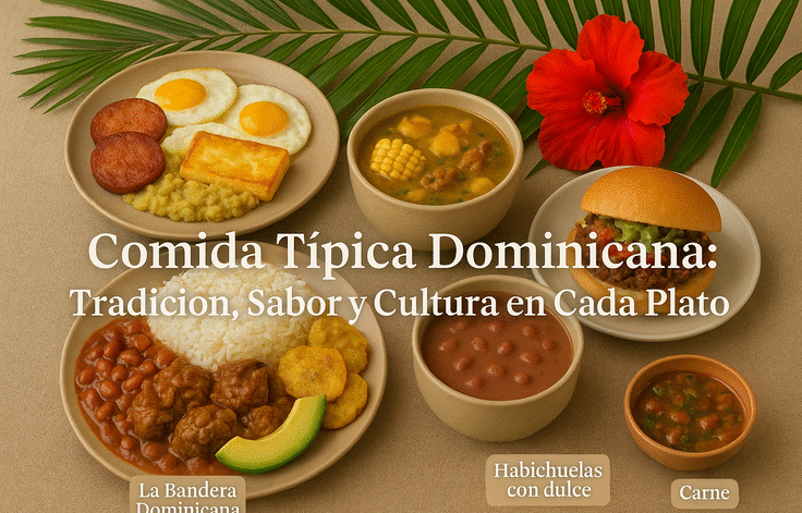 Comida Típica Dominicana Que Debes Probar Hoy ⤵️